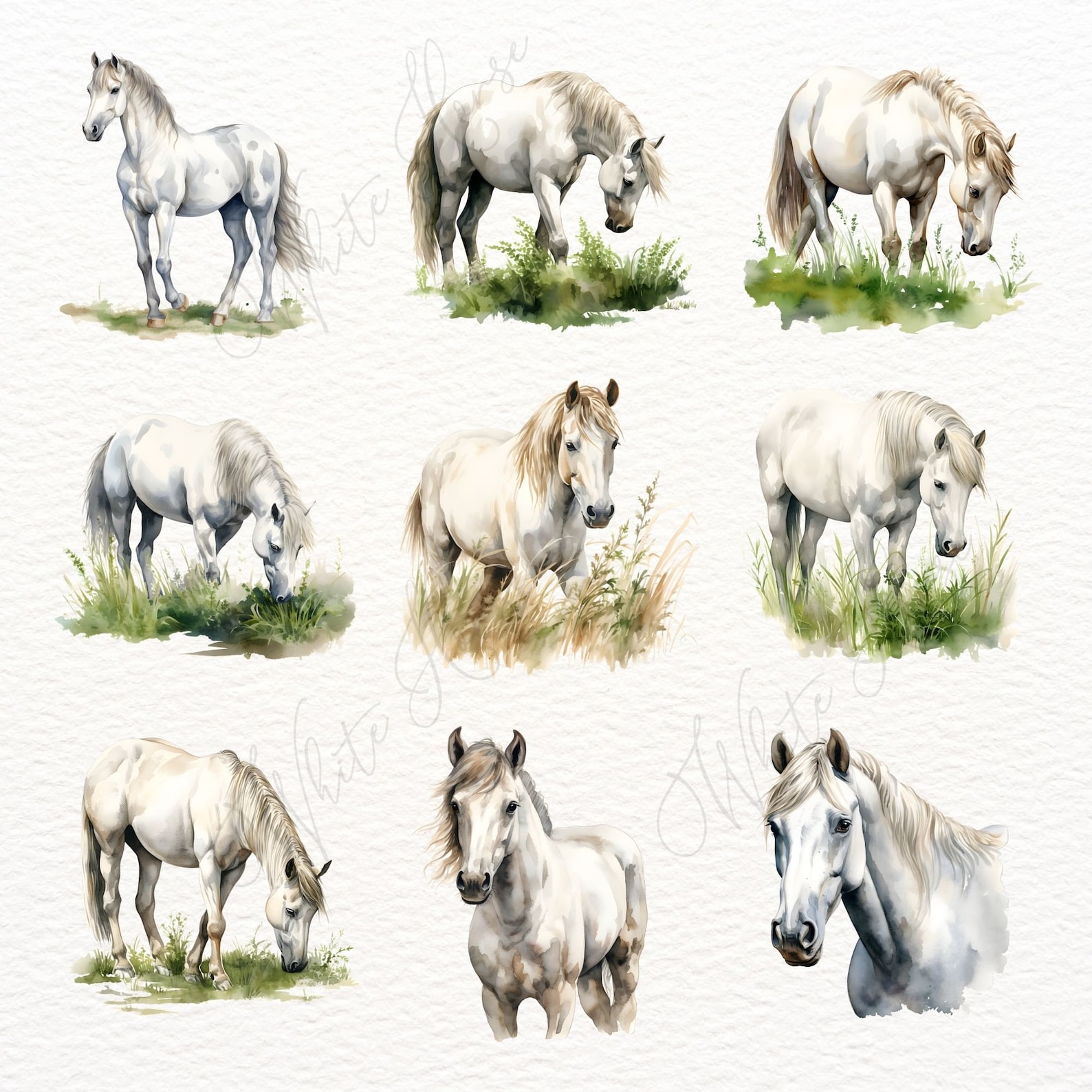 White Horse Watercolor Clipart: Nursery Art (digital Download) - Etsy