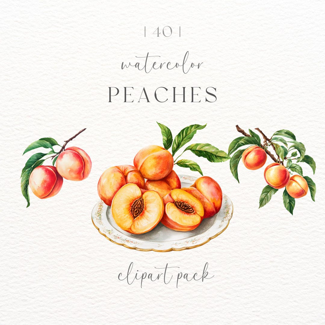 Watercolour Peaches | Peach Png | Watercolour Peach Clipart | Peach ...
