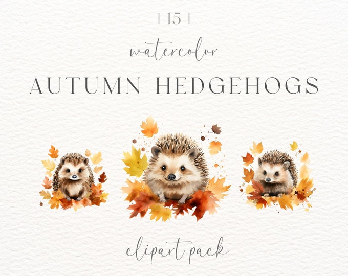 Hedgehog Clipart, Hedgehogs Clipart, Autumn Clipart, Fall Clip Art ...