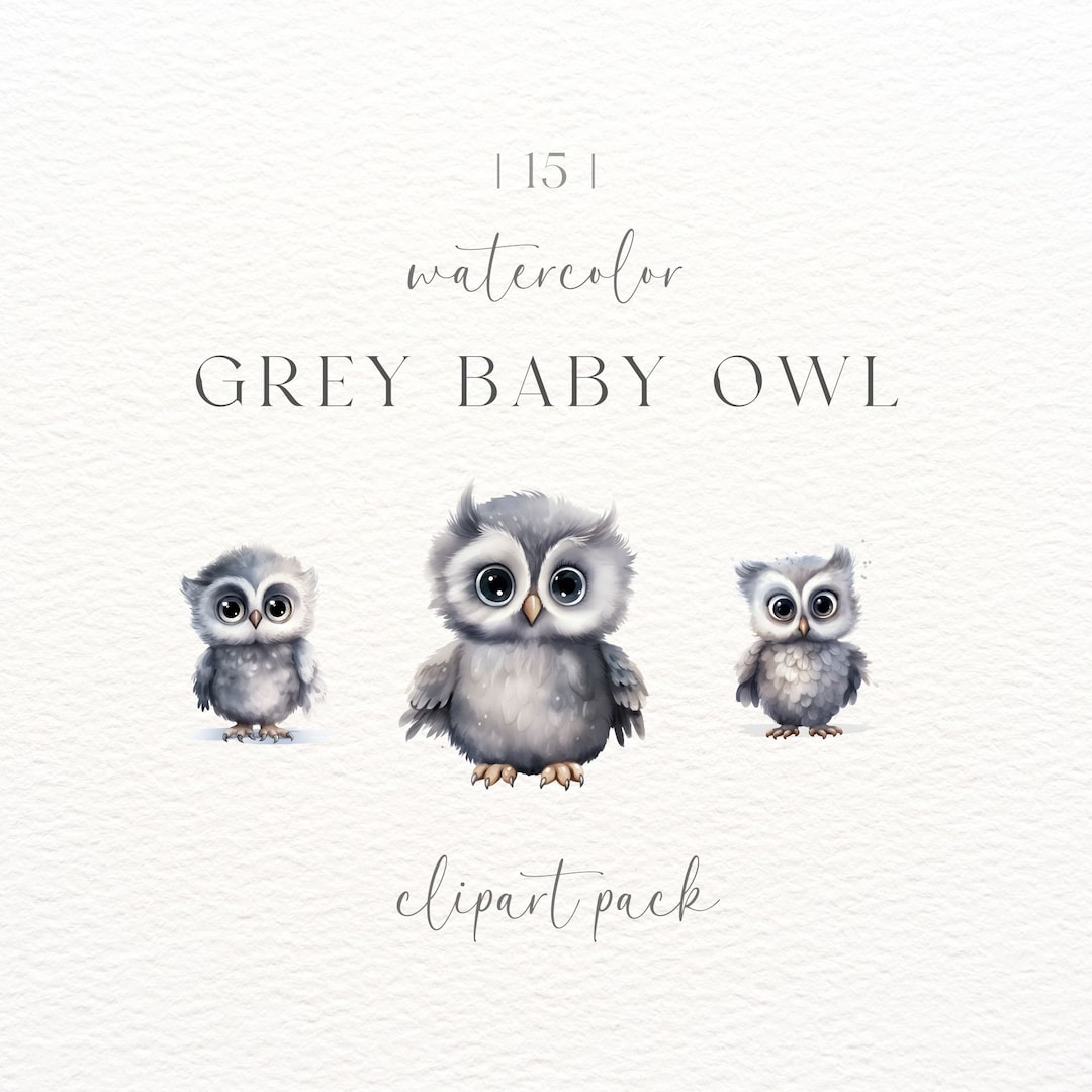 Owl Clipart | Baby Owl Clipart | Cute Owl Clipart | Download ...