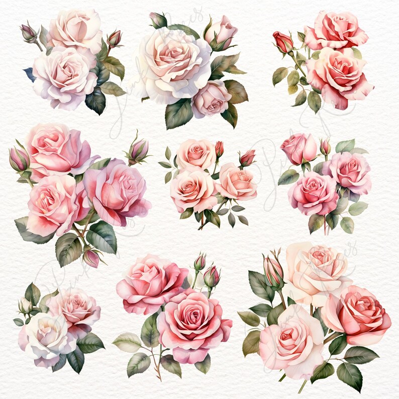 Pink Roses Clipart Clipart Watercolor Blush Roses Clipart - Etsy