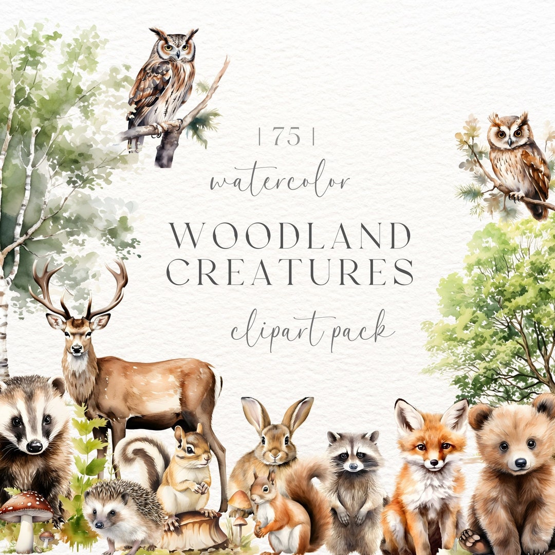 Woodland Animals Watercolor Clipart | Forest Animals Clip Art ...