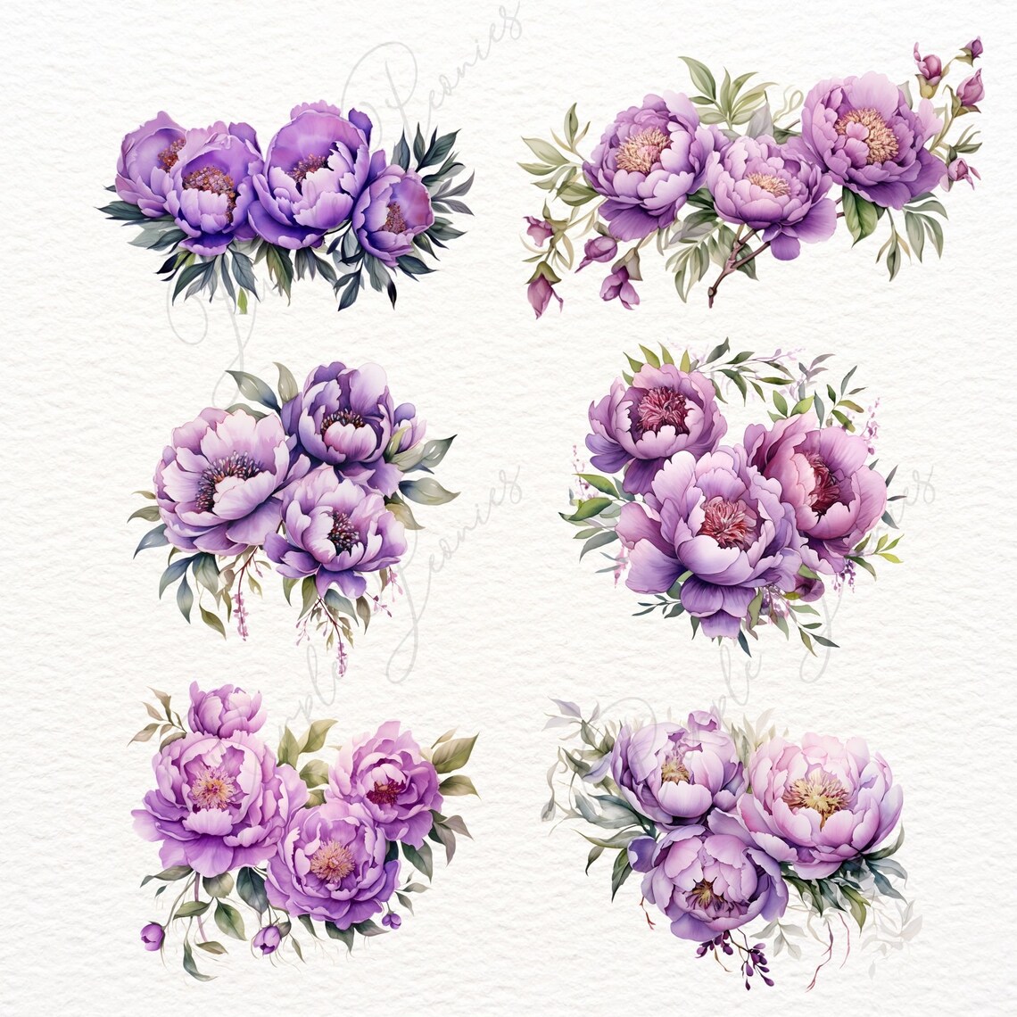 Peonies Flowers Watercolor Peonies Png Watercolour Purple Peonies ...