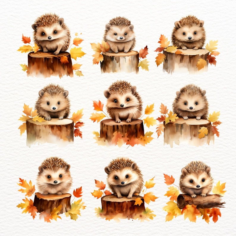 Autumn Clipart | Digital Clipart | Commercial Use | Animal Clipart ...