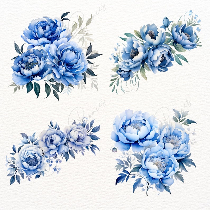 Watercolor Blue Peonies Clipart: Commercial Use Floral PNG (digital ...