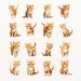 Ginger Cat Clipart | Digital Download | Clipart Cats | Commercial Use ...