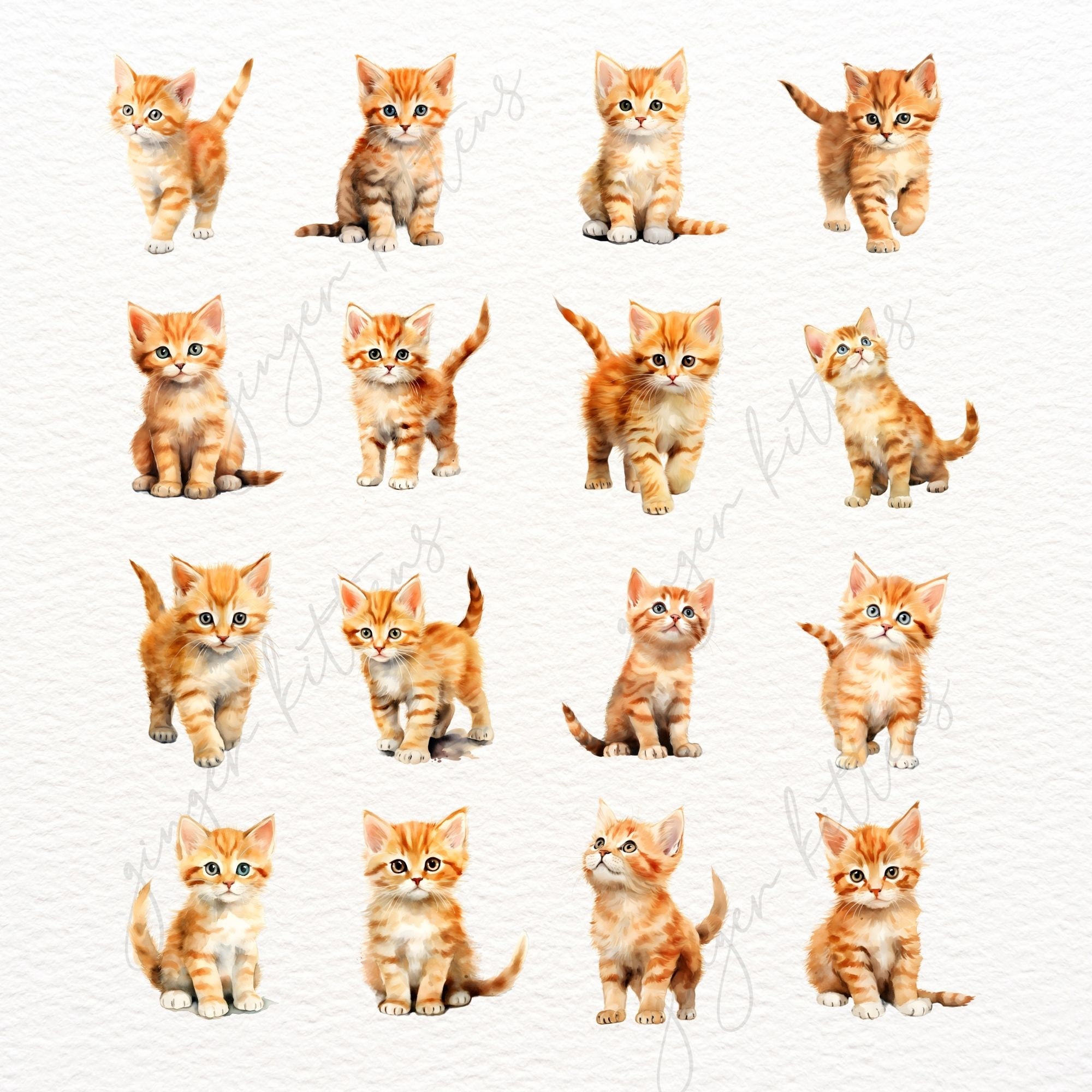 Ginger Cat Clipart | Digital Download | Clipart Cats | Commercial Use ...