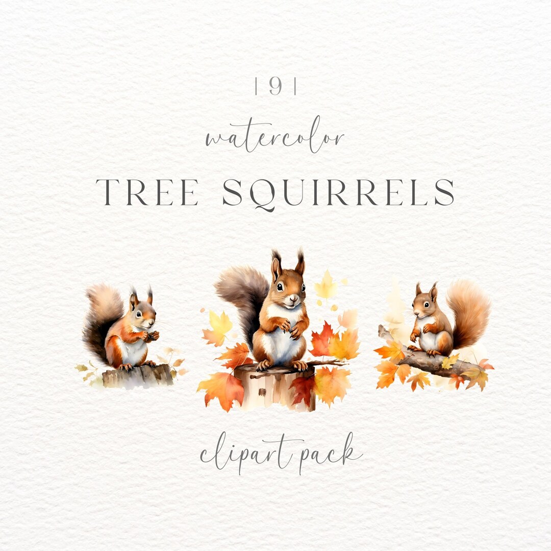 Watercolor Squirrel Clipart | Commercial Use | Watercolor Squirrel Png ...