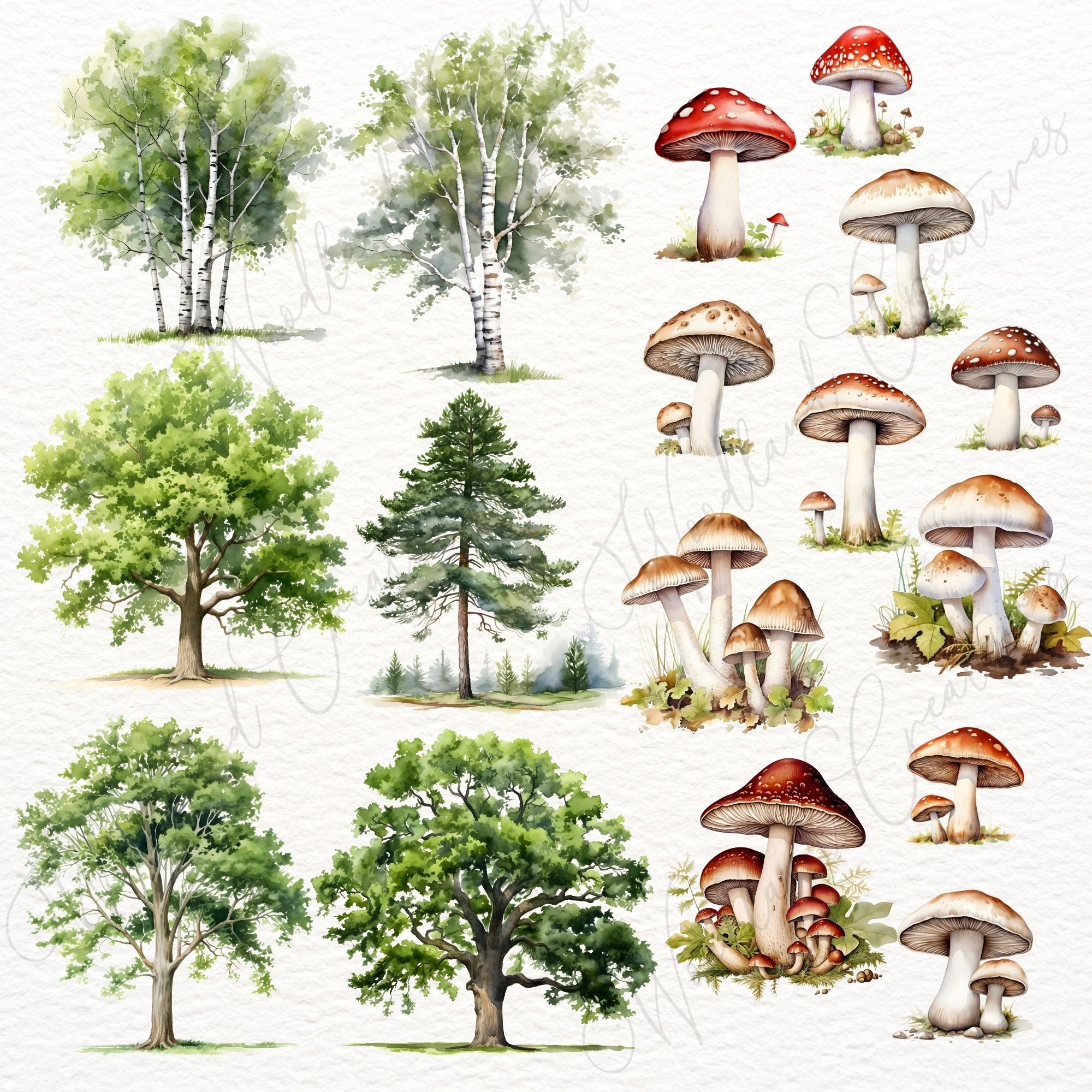 Woodland Animals Watercolor Clipart | Forest Animals Clip Art ...
