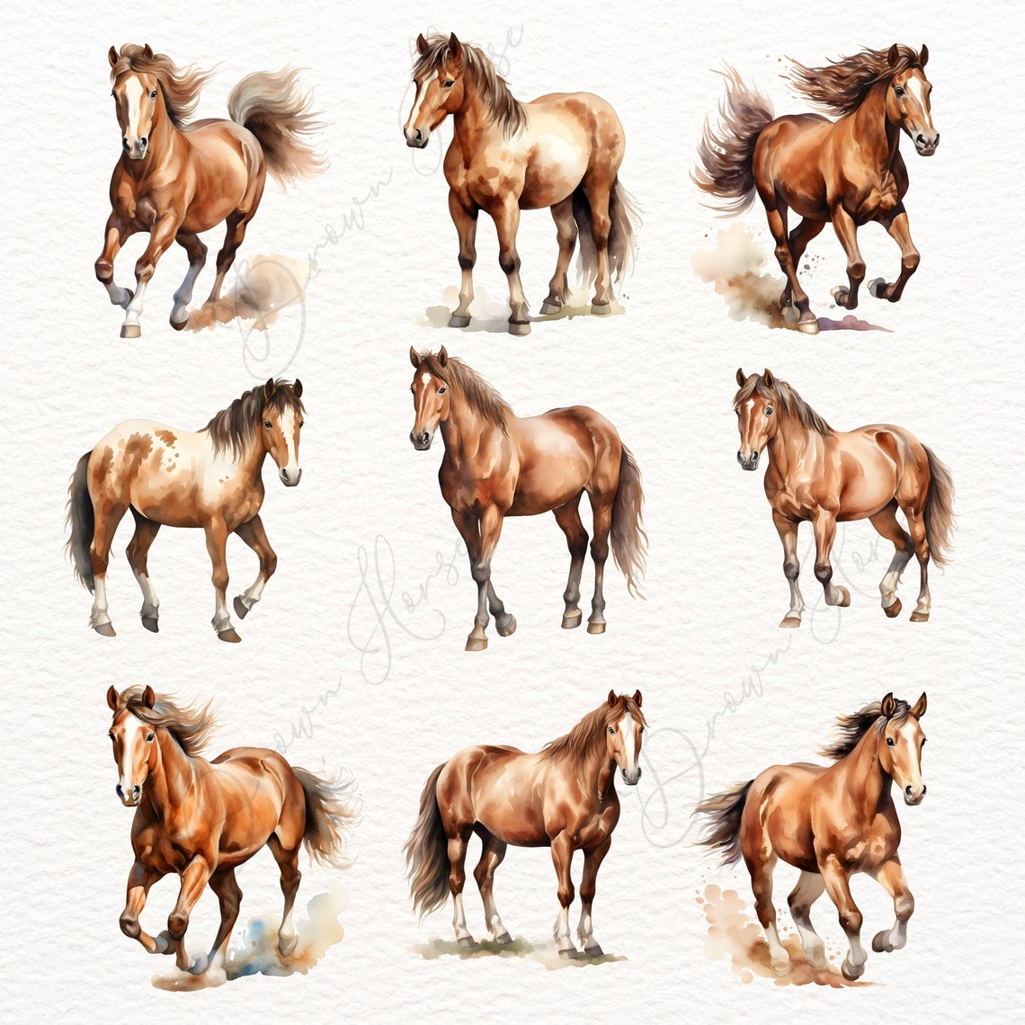 Brown Horse Watercolor Clipart: Transparent PNG Bundle (digital ...