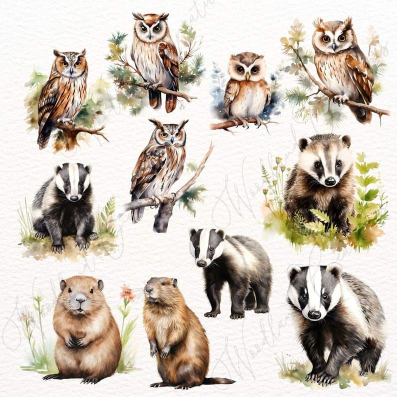 Woodland Animals Watercolor Clipart | Forest Animals Clip Art ...