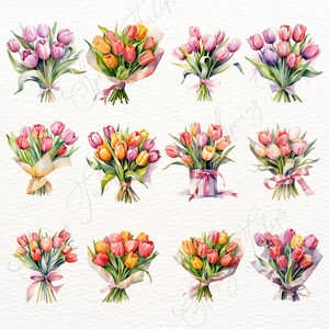 Tulip Clipart, Floral Watercolour Clipart, Spring Clipart, PNG for ...
