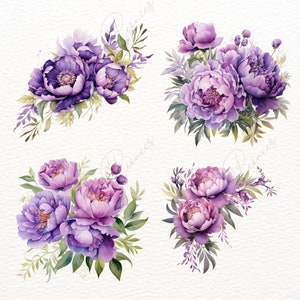Peonies Flowers Watercolor | Peonies Png | Watercolour Purple Peonies ...