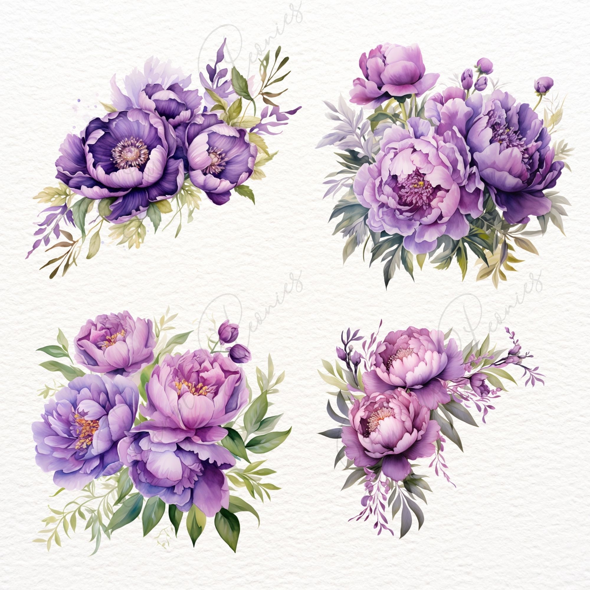 Peonies Flowers Watercolor Peonies Png Watercolour Purple Peonies ...
