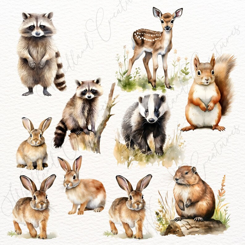 Woodland Animals Watercolor Clipart | Forest Animals Clip Art ...