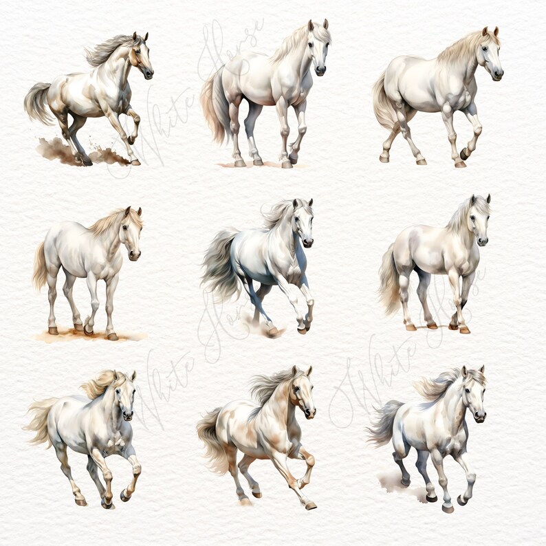 White Horse Watercolor Clipart: Nursery Art (digital Download) - Etsy