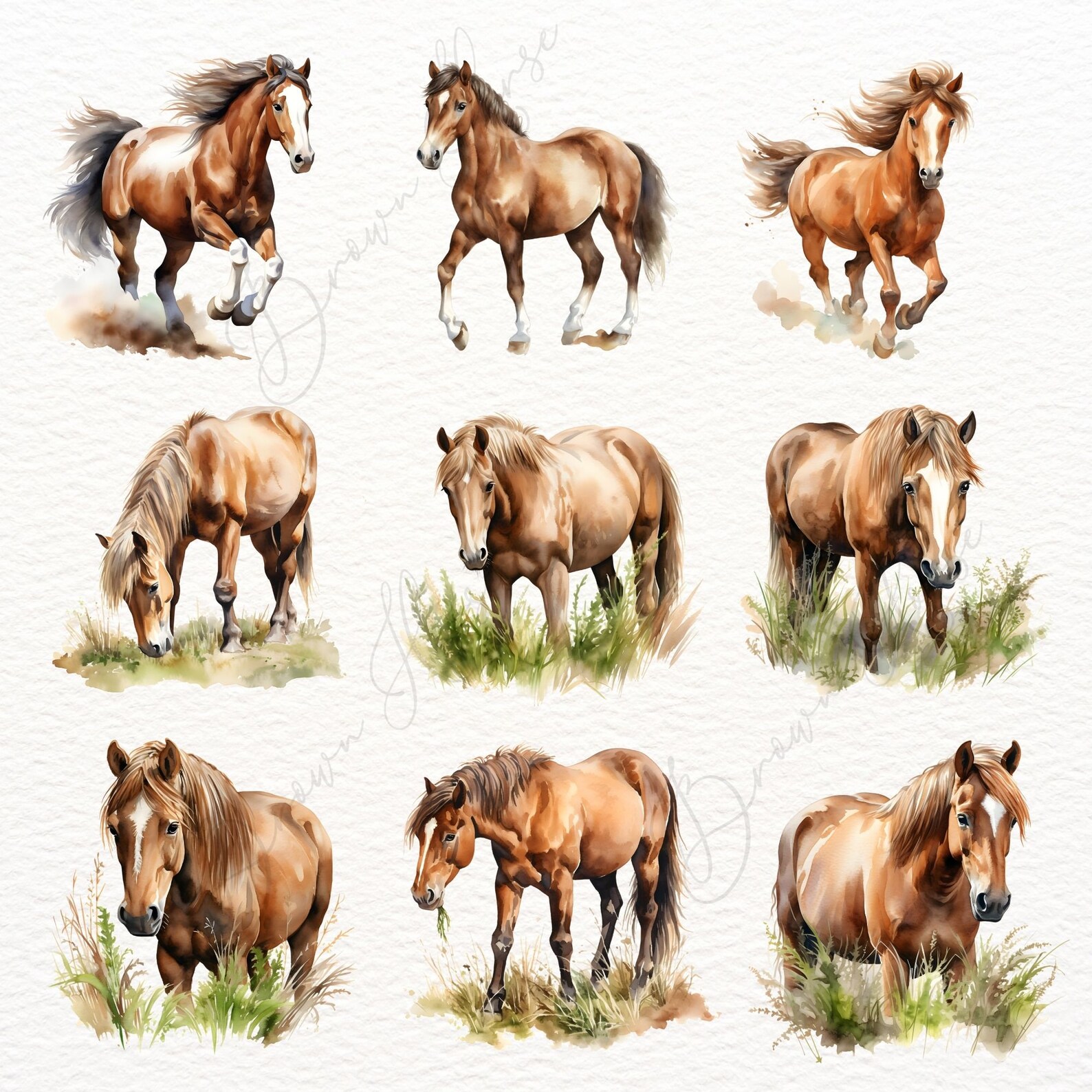 Horse Watercolor Clipart | Horse Png | Brown Horse | Card Making ...