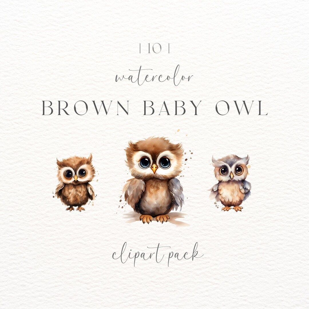 Cute Owls | Clip Art | Baby Owl Clipart | Fall Animal Clipart Png | Watercolor Owls | Nursery ...