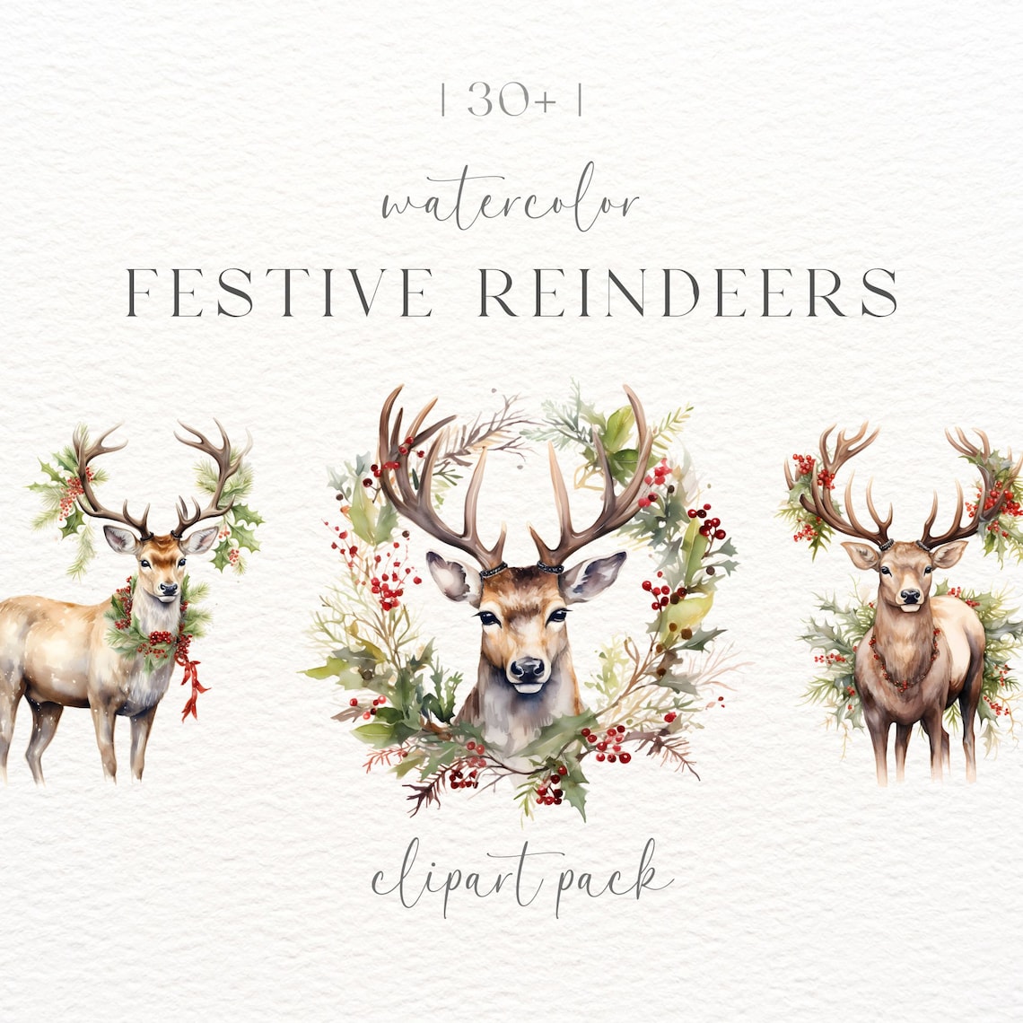 Watercolor Reindeer Clipart Christmas Reindeer Clipart Cute Reindeer ...
