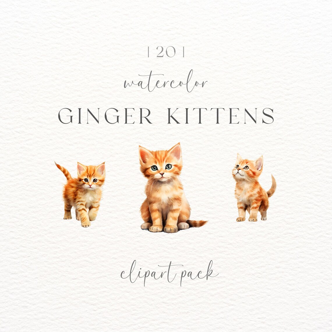 Ginger Cat Clipart | Digital Download | Clipart Cats | Commercial Use ...