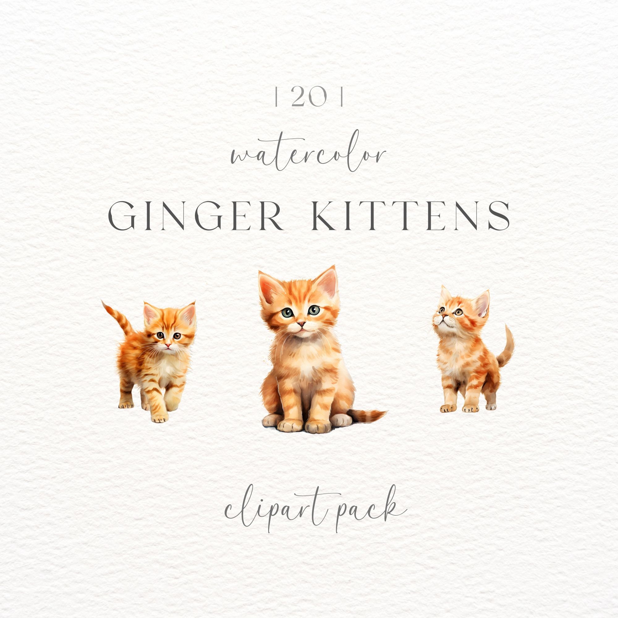 Ginger Cat Clipart | Digital Download | Clipart Cats | Commercial Use ...