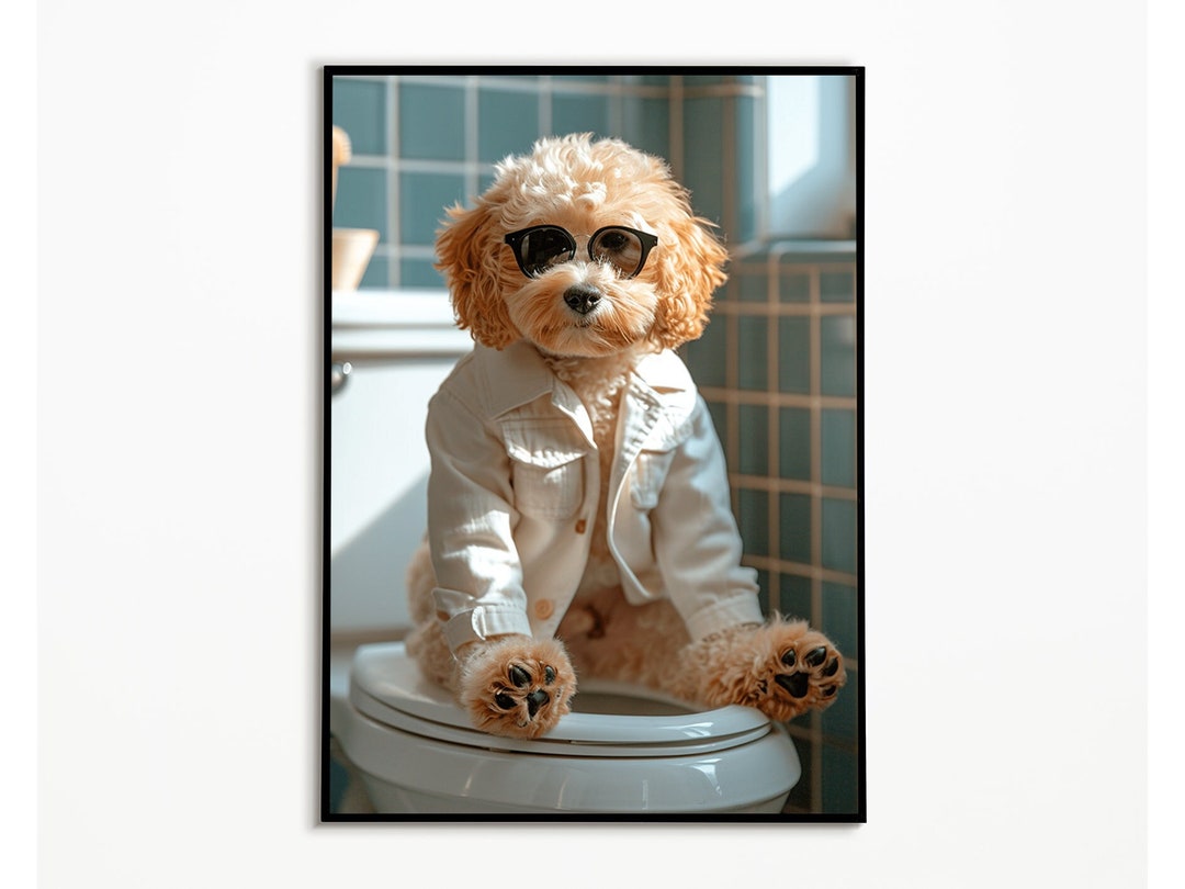 Cockapoo on the Toilet, Bathroom Ideas Pictures, Funny Dog Picture ...