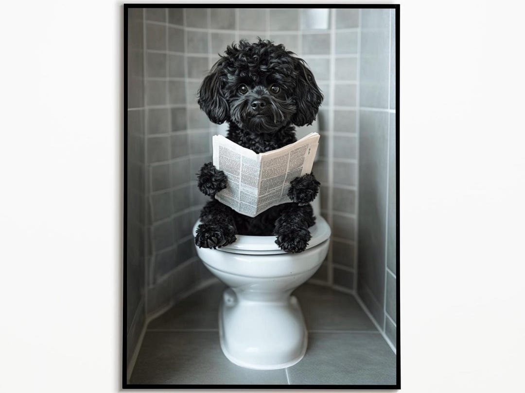 Cockapoo on the Toilet and Reading Newspaper, Bathroom Ideas Pictures ...