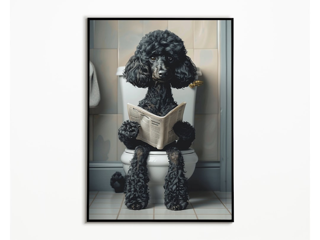 Black Standard Poodle Sitting on the Toilet, Bathroom Pictures, Digital ...