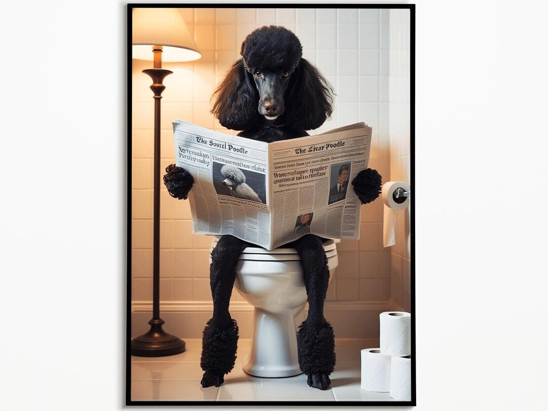Black Standard Poodle Sitting on the Toilet, Bathroom Pictures, Digital ...