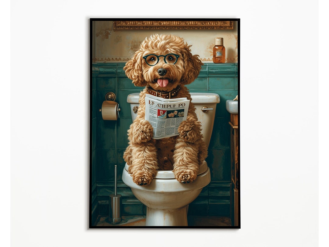 Cockapoo on the Toilet, Bathroom Ideas Pictures, Funny Dog Picture ...