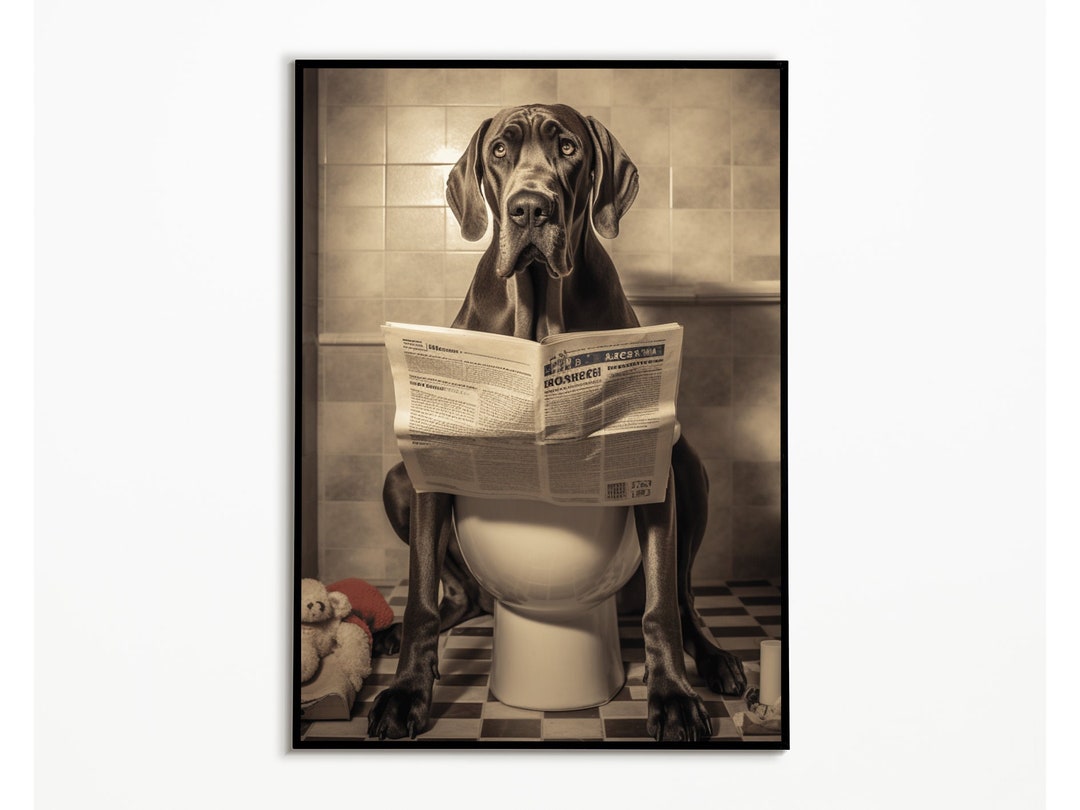 Great Dane on the Toilet and Reading Newspaper, Bathroom Pictures ...