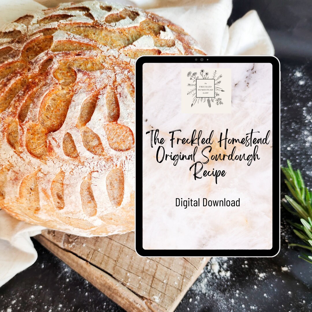 The Freckled Homestead Original Sourdough Recipe - Beginner Friendly - Etsy