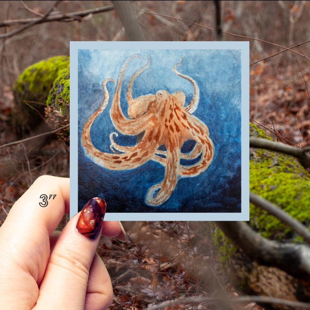 Common Octopus - Octopus Vulgaris - October Sticker - Original Artwork ...