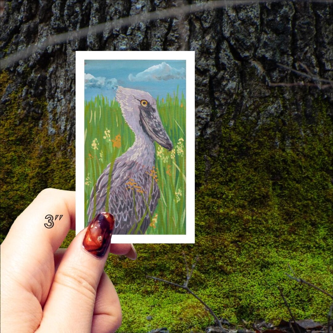 Shoebill Stork, Gouache Painting Sticker, Original Artwork - Etsy