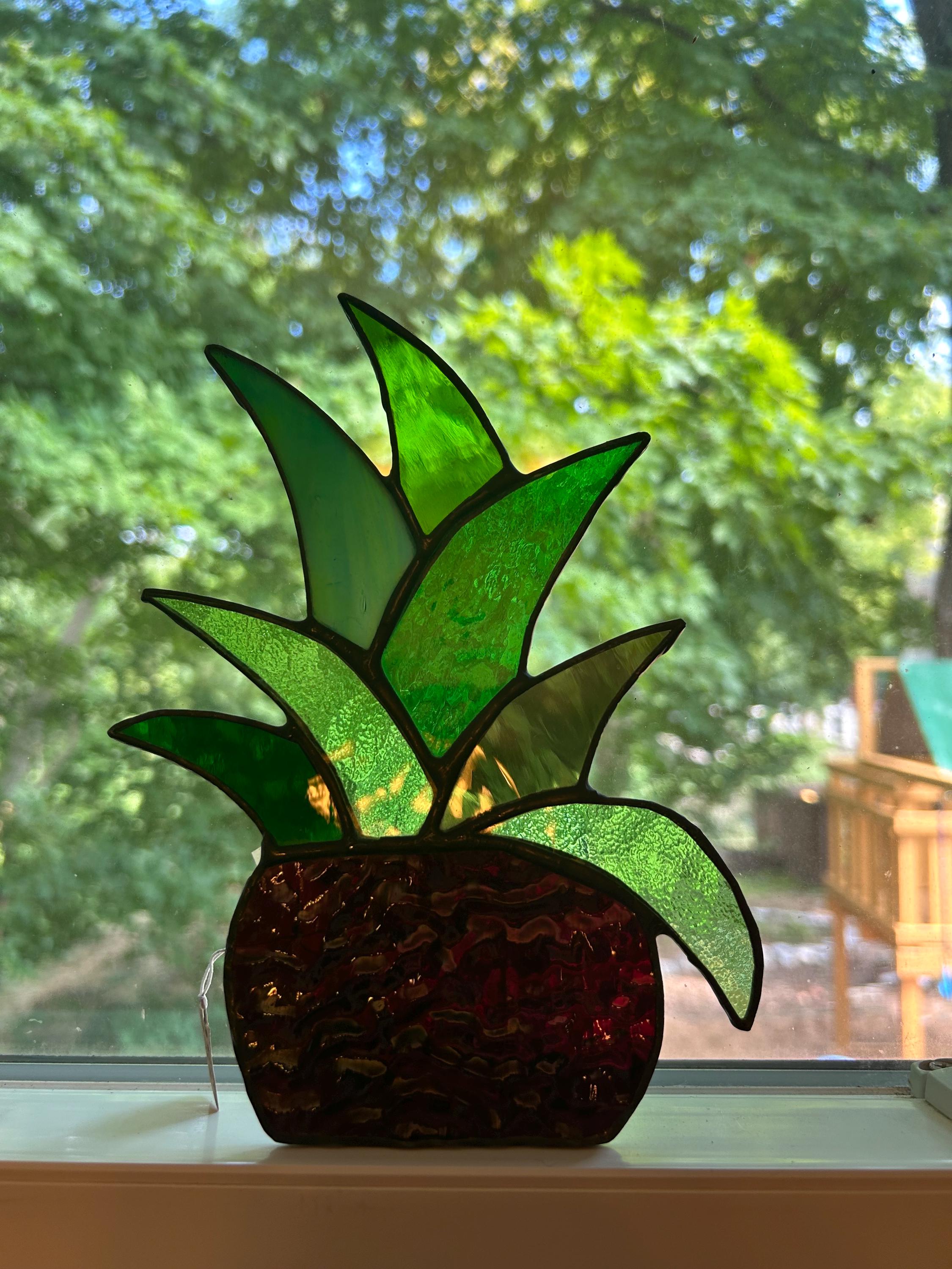 Succulent Glass Planter - Red - Etsy