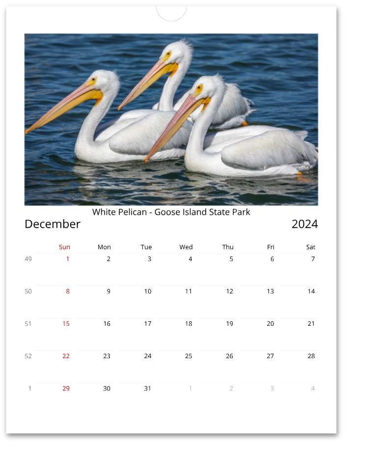 John Chitty Images 2024 Wall Calendar - Etsy