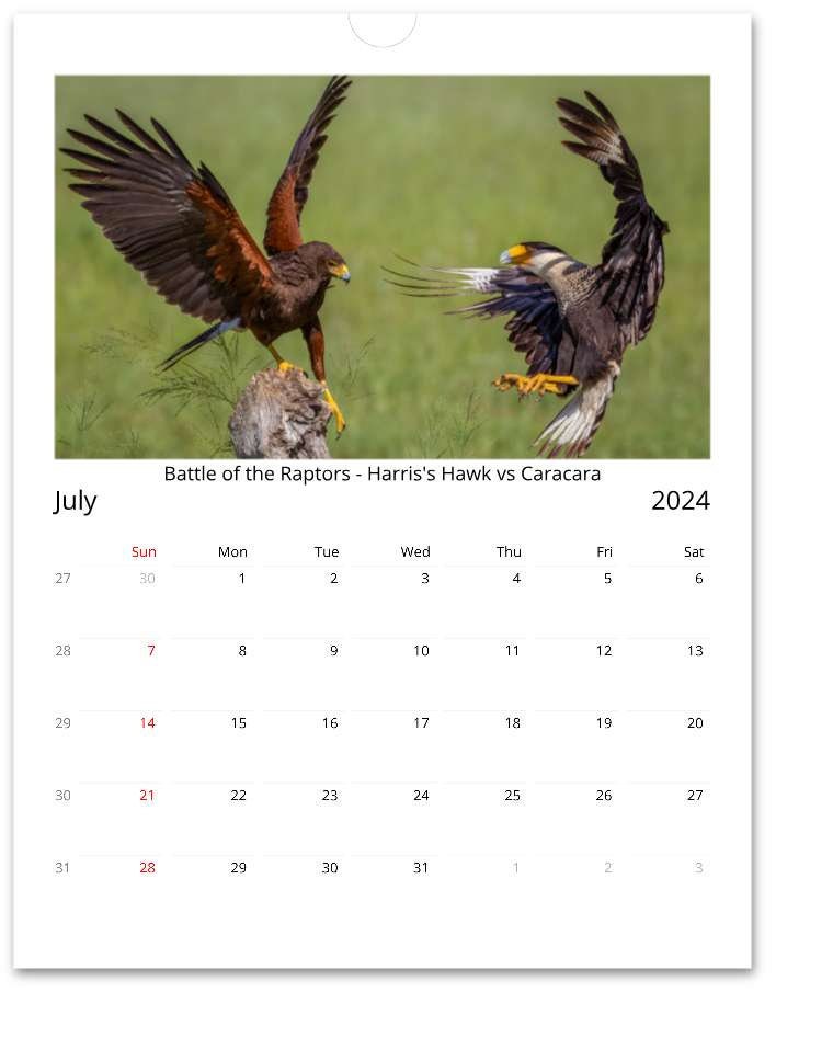 John Chitty Images 2024 Wall Calendar - Etsy