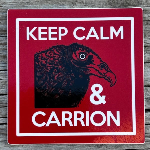 Vulture Carrion Bird - Etsy