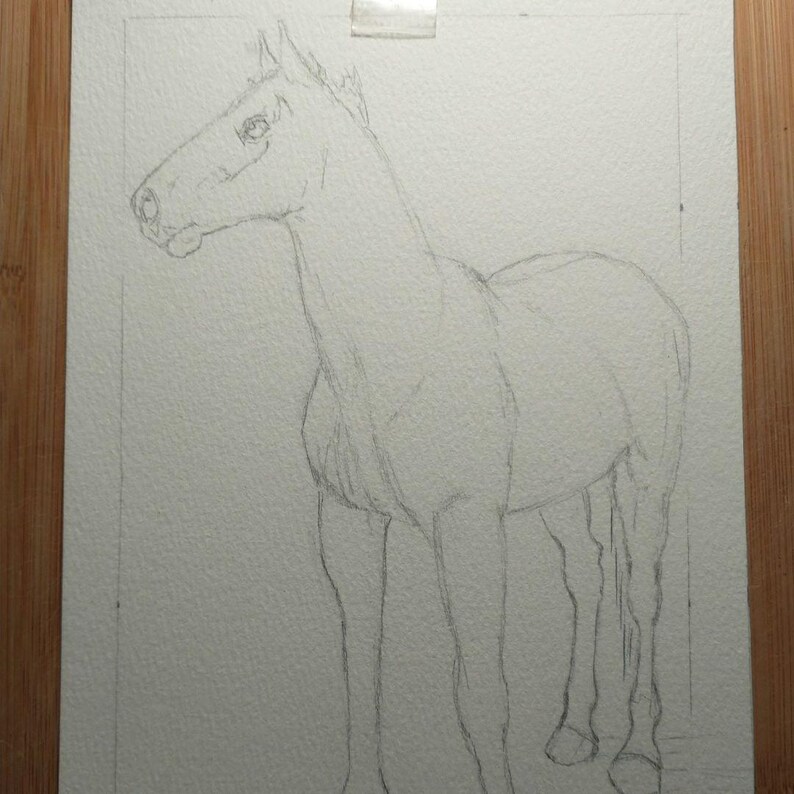 Pen and Ink Sketch of Thoroughbred (derby)/ Horse Portrait/ Horse Art ...