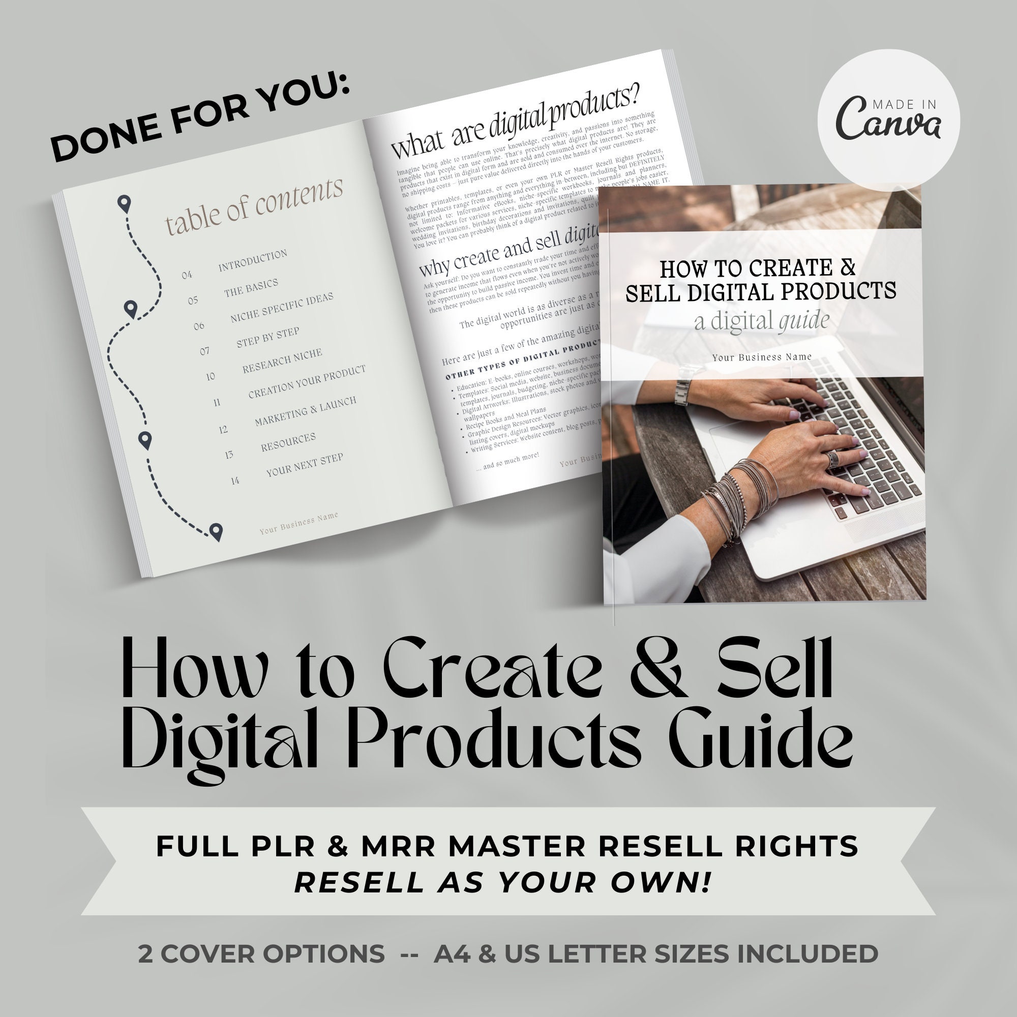 MRR Digital Products Guide With Photos, Digital Products Business ...