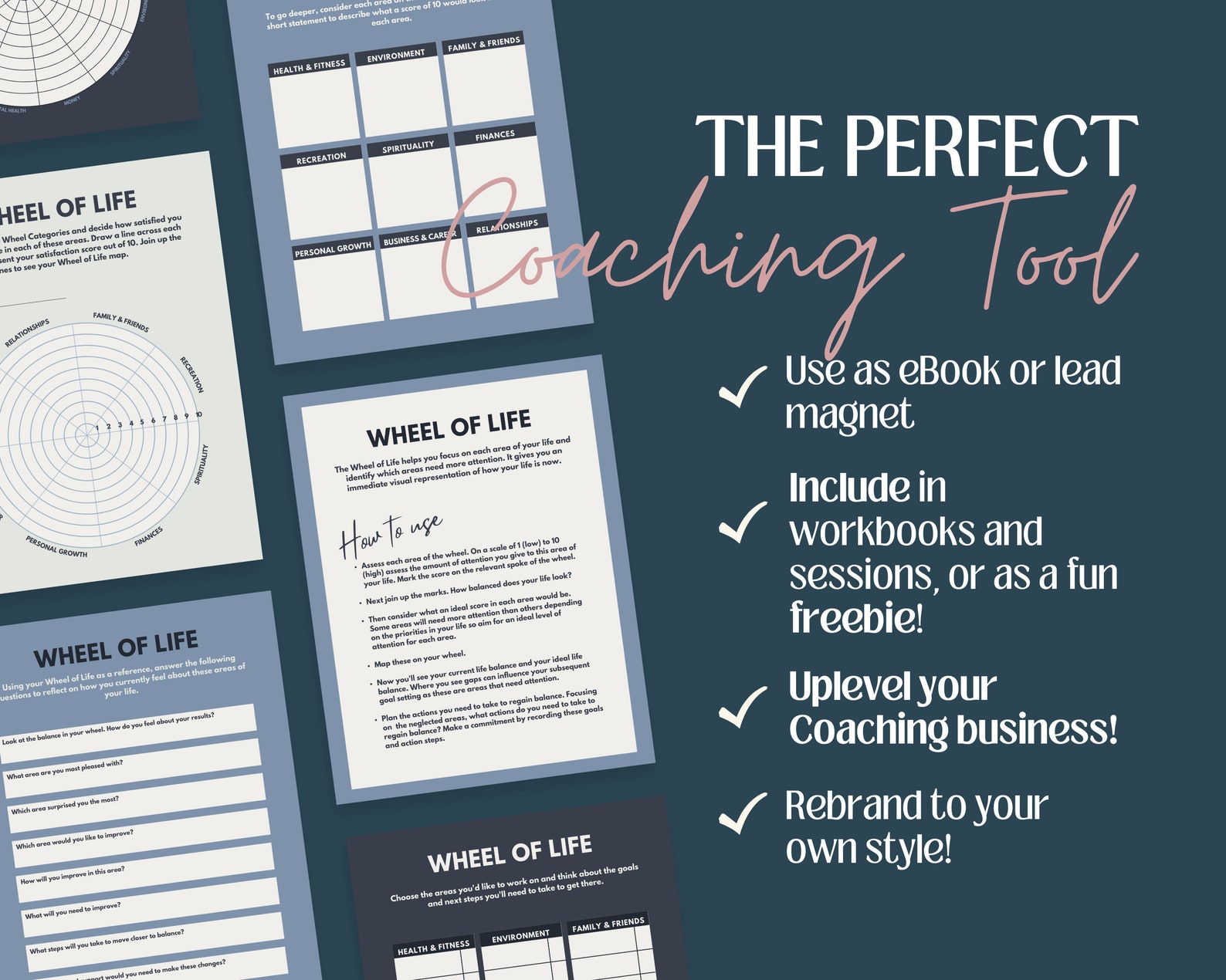 Wheel of Life Worksheet Printable Coaching Tool Life Balance Assessment ...