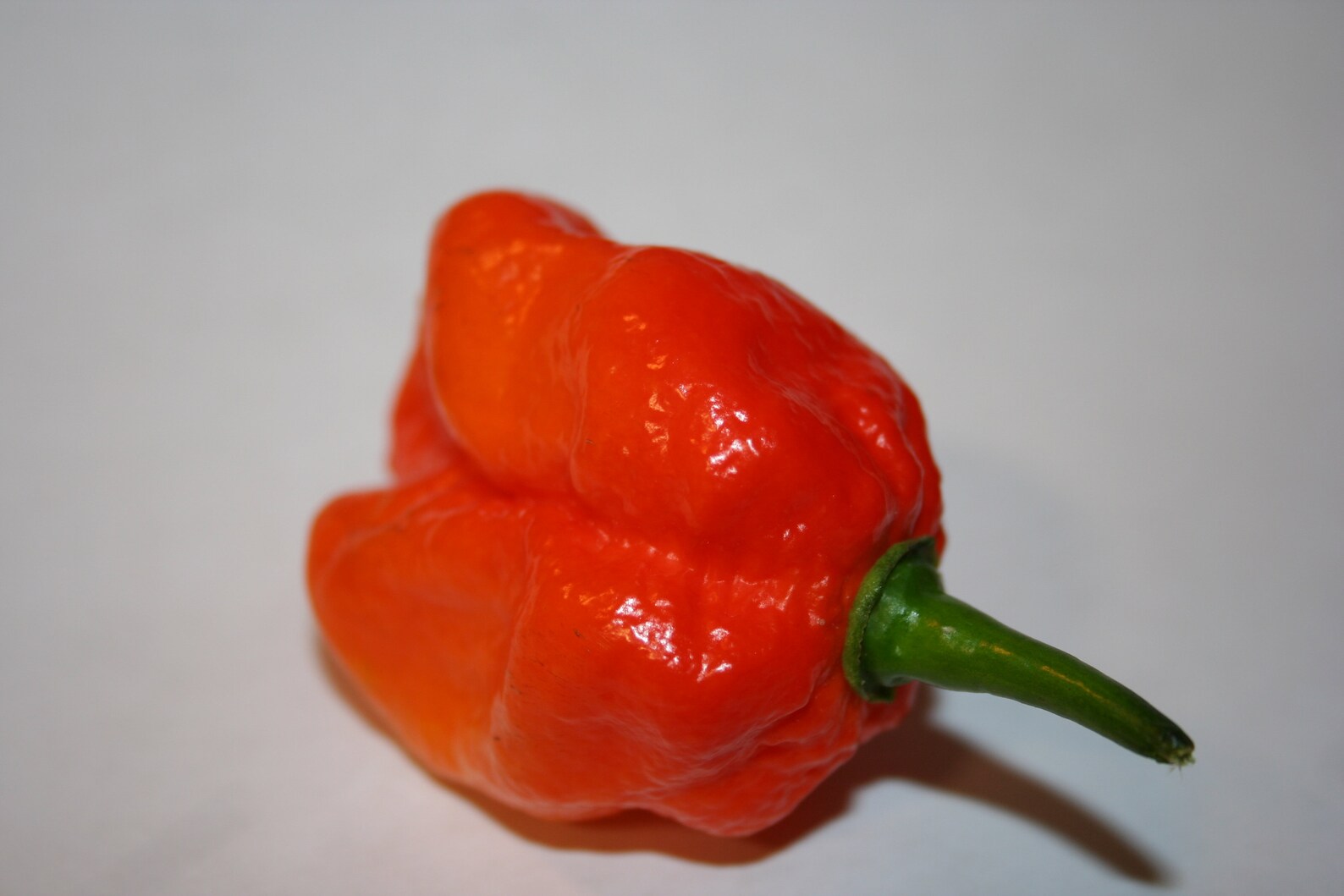 Armageddon Pepper 15 Seeds - Etsy