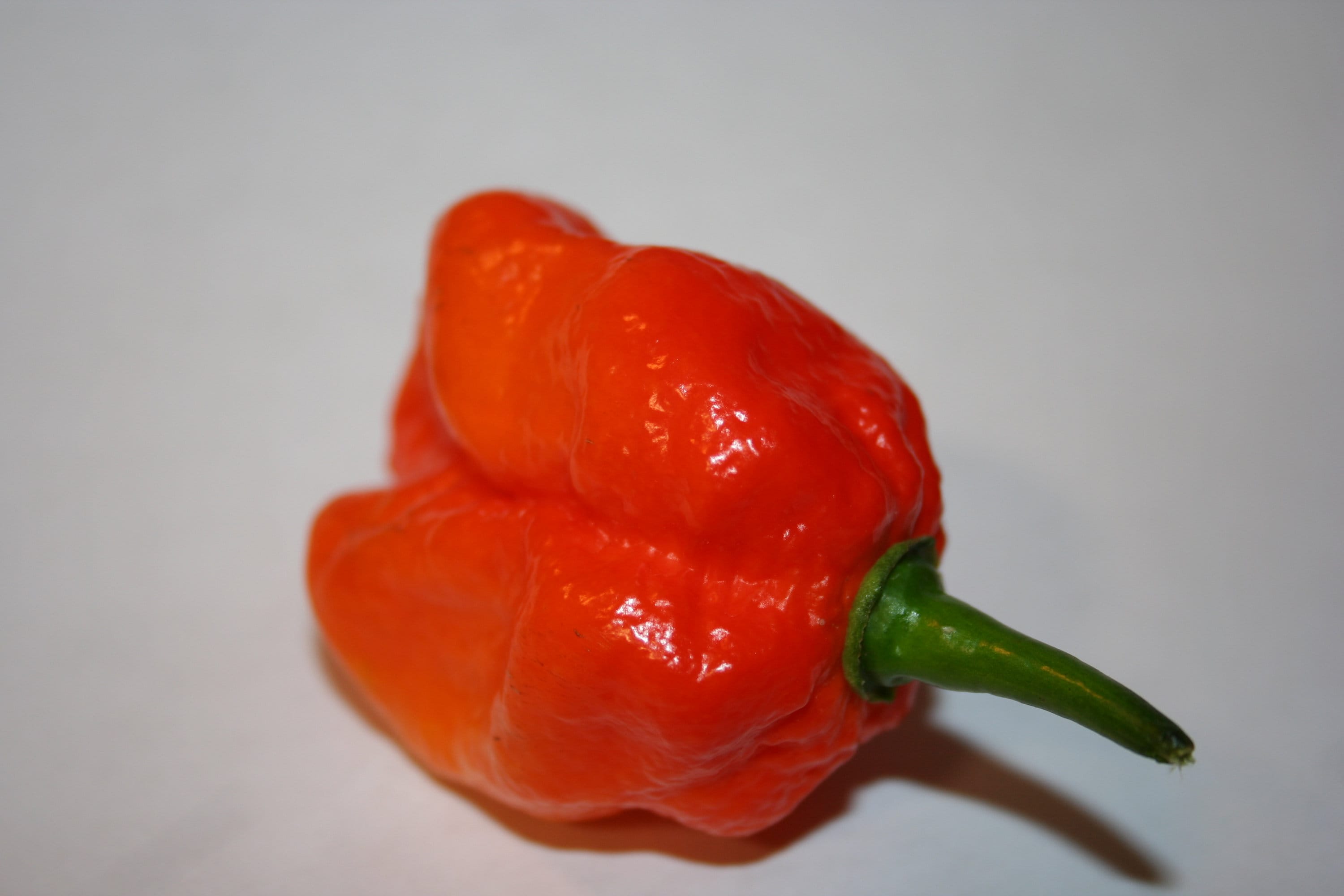 Armageddon Pepper 15 Seeds - Etsy