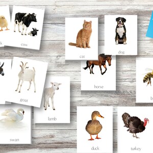 FARM ANIMALS • 12 Printable Montessori Cards • Flash Cards Nomenclature ...