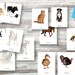 FARM ANIMALS • 12 Printable Montessori Cards • Flash Cards Nomenclature ...