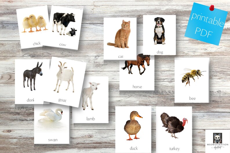 FARM ANIMALS • 12 Printable Montessori Cards • Flash Cards Nomenclature ...