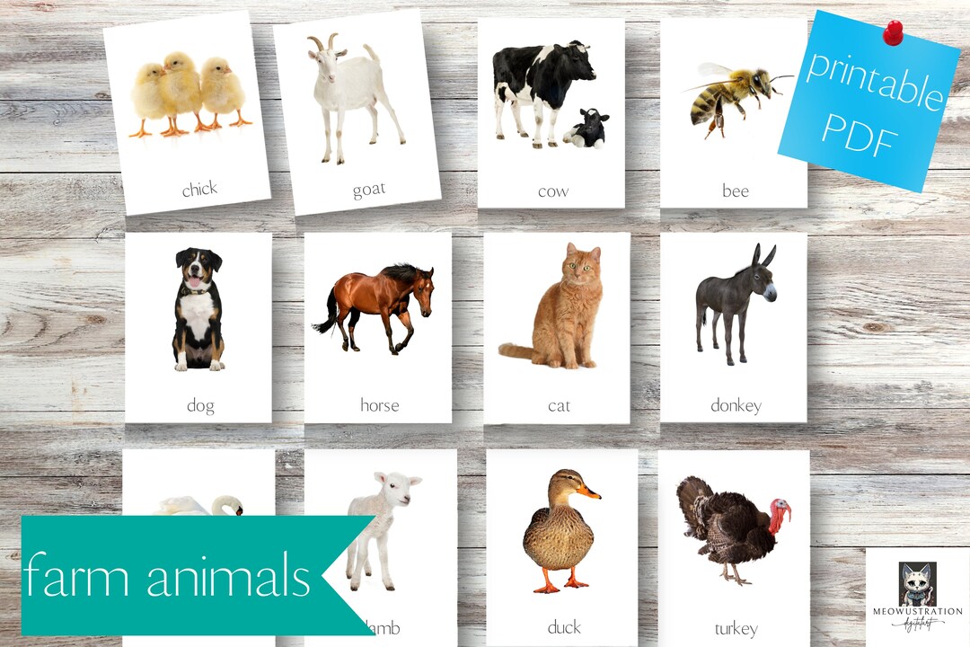 FARM ANIMALS • 12 Printable Montessori Cards • Flash Cards Nomenclature ...