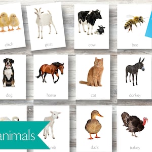 FARM ANIMALS • 12 Printable Montessori Cards • Flash Cards Nomenclature ...