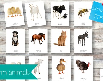 FARM ANIMALS • Editable Montessori Cards • Flash Cards Nomenclature ...