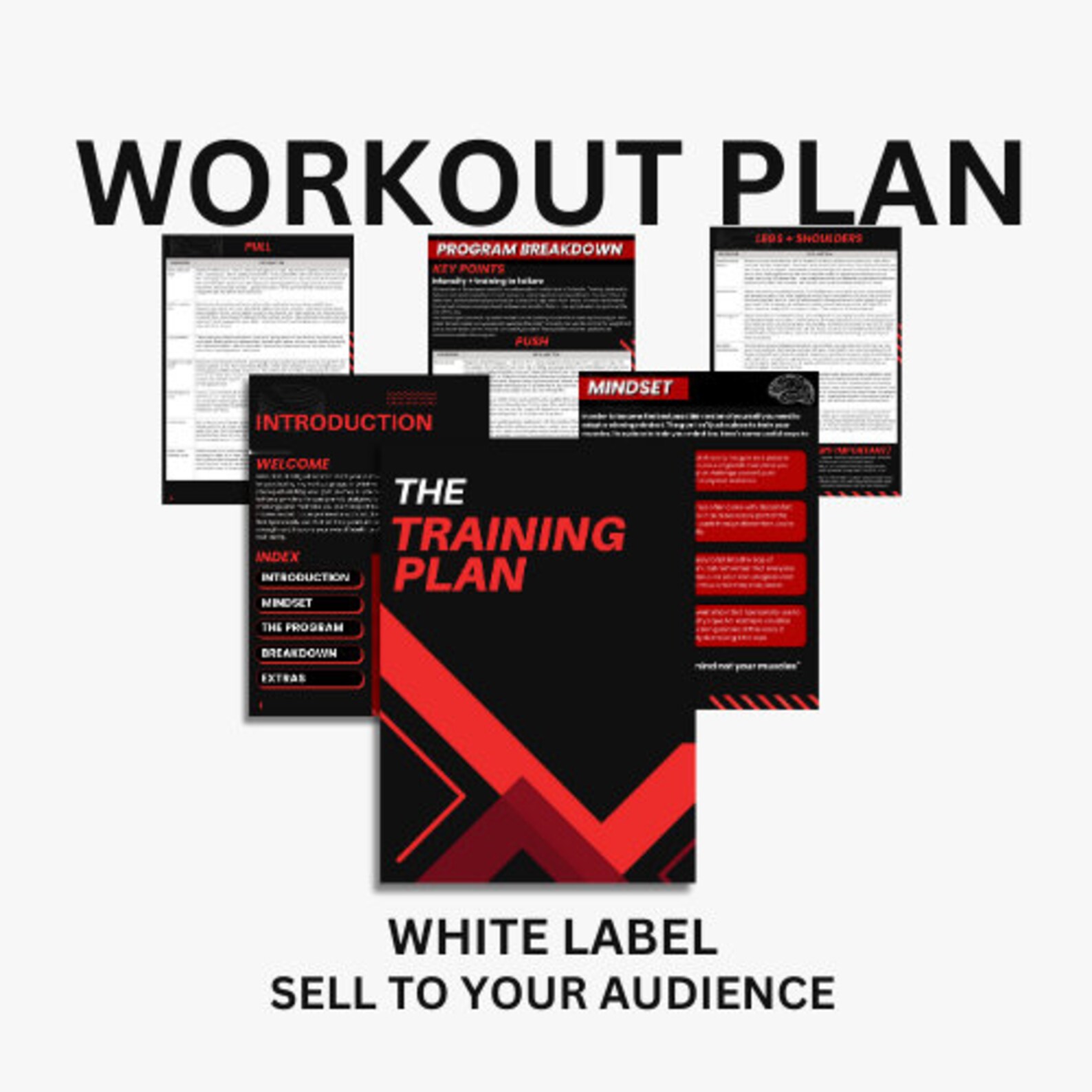 Workout Plan PDF White Label Training Plan, Push Pull Legs Training ...